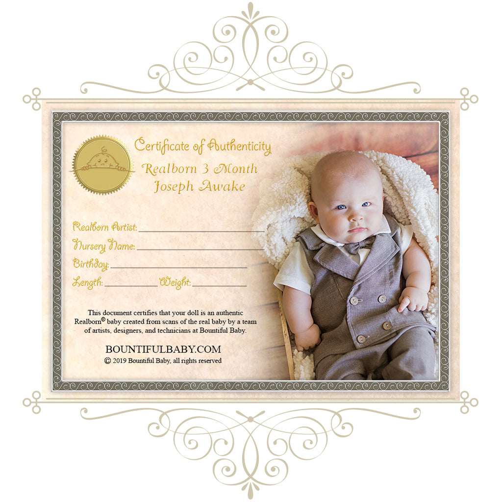 Realborn® 3 Month Joseph™ Awake (23" Reborn Doll Kit) - Bountiful Baby ...