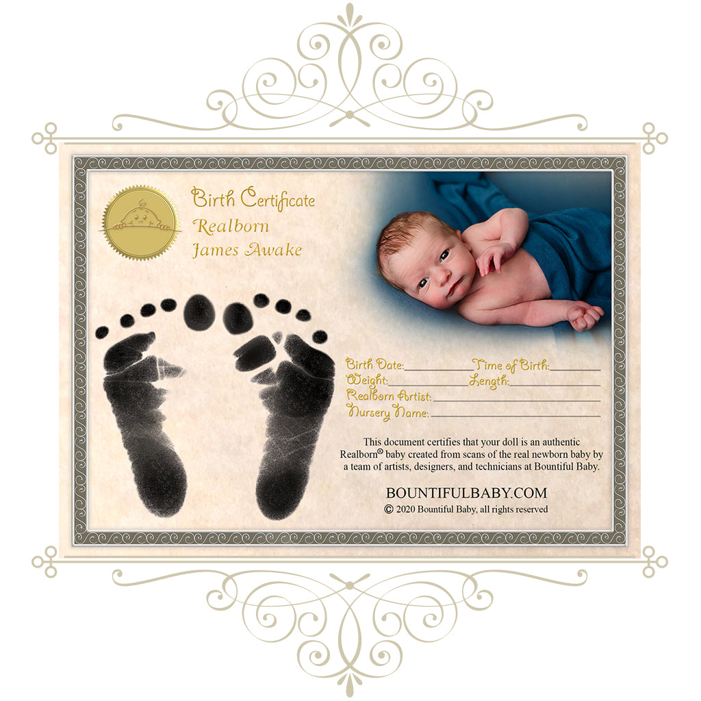 Realborn® James Awake (18" Reborn Doll Kit) - Bountiful Baby (DP ...