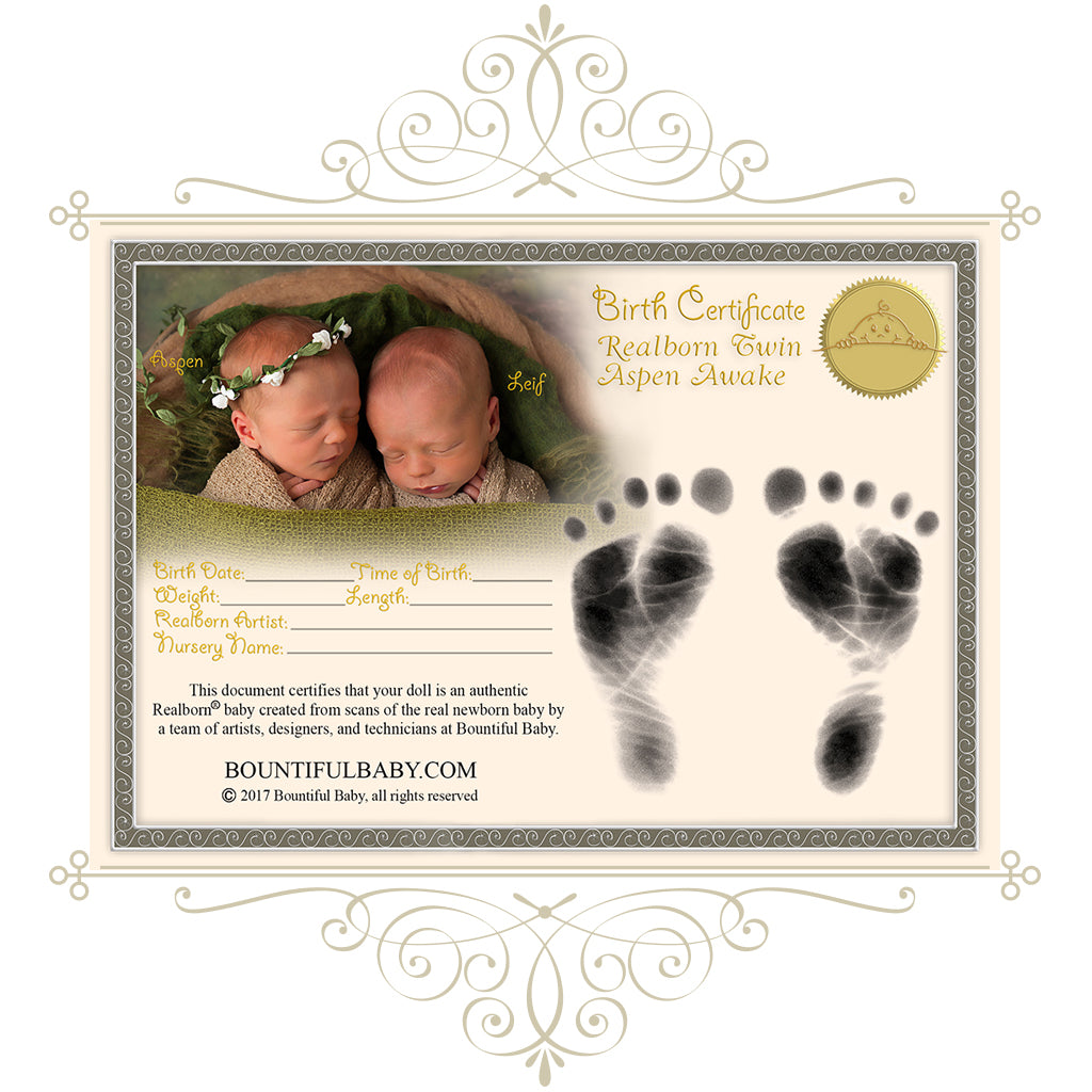 Realborn® Awake Aspen TWIN (18" Reborn Doll Kit) - Bountiful Baby (DP ...